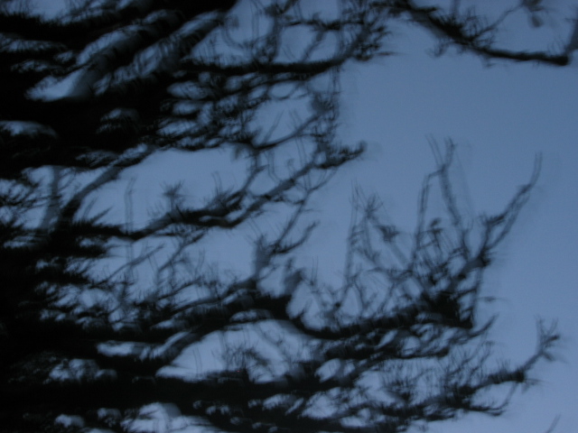 Lines of Flight